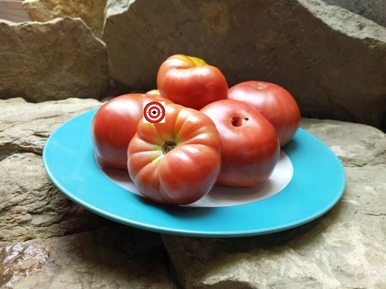 Dwarf Arctic Rose Tomato-Bounty Hunter Seeds-Rare Heirlooms