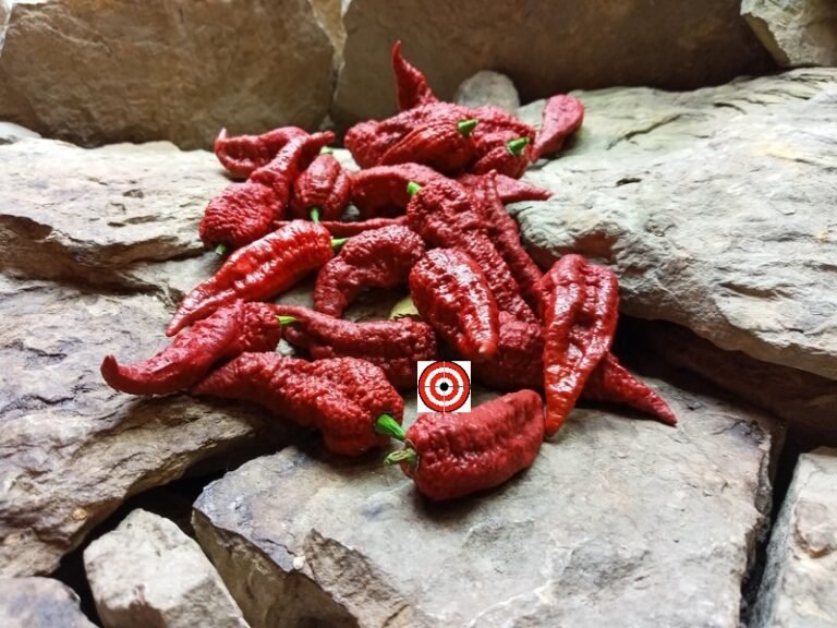 Leviathan Gnarly Scorpion Pepper-Bounty Hunter Seeds