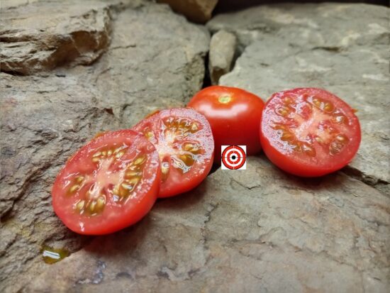 Redfield Beauty Tomato-Heirlooms-Bounty Hunter Seeds