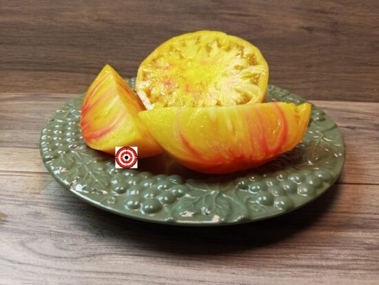 Holyland Yellow Strain Tomato-Rare Seeds-Bounty Hunter Seeds!