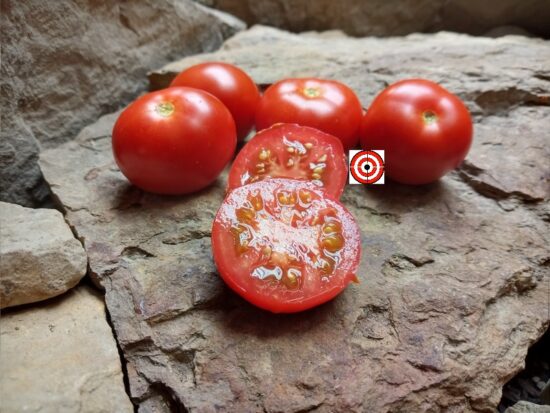 Redfield Beauty Tomato-Heirlooms-Bounty Hunter Seeds