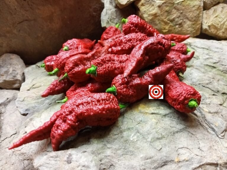 Leviathan Gnarly Scorpion Pepper-Bounty Hunter Seeds