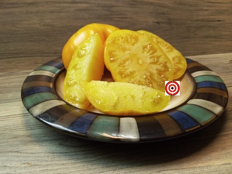 Yellow Radiance Tomato-Brad Gates Seeds-Bounty Hunter Seeds!
