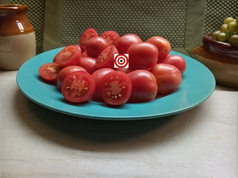 German Lunchbox Tomato-Bounty Hunter Seeds-Heirlooms Seeds