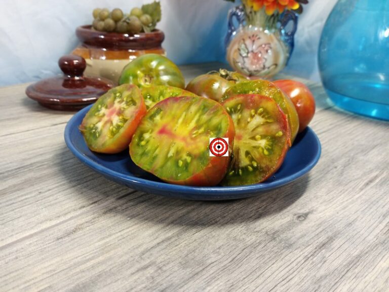 Copperhead Dwarf Tomato-Heirlooms- Bounty Hunter Seeds