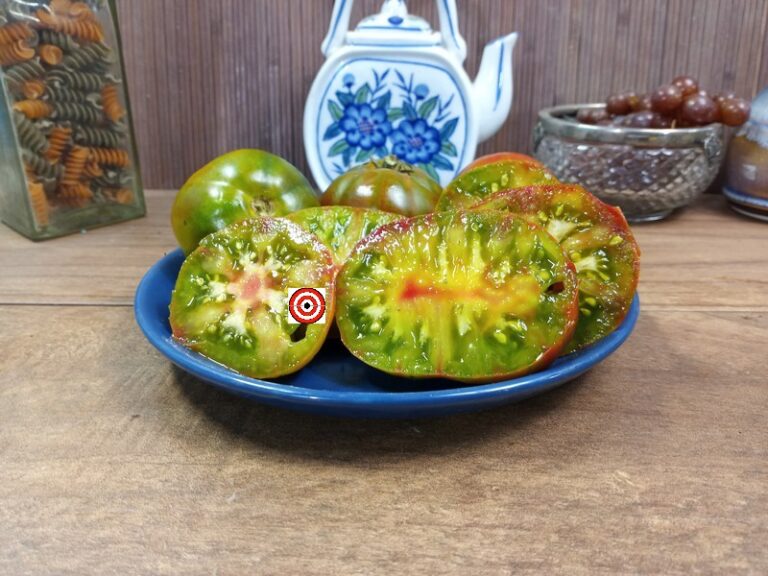 Copperhead Dwarf Tomato-Heirlooms- Bounty Hunter Seeds