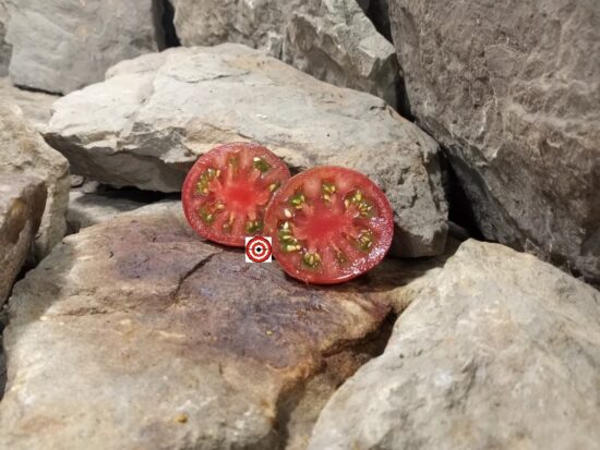 Dwarf Grape Nehi Tomato-Bounty Hunter Seeds-Dean Slater Seed