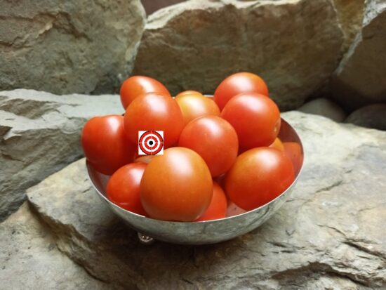 Dwarf Maskotka Tomato-Bounty Hunter Seeds-Heirloom Tomatoes