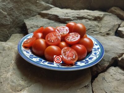 Dwarf Maskotka Tomato-Bounty Hunter Seeds-Heirloom Tomatoes
