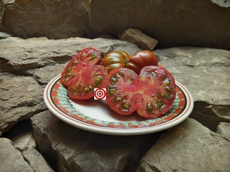 Dwarf Rosella Purple Tomato-Bounty Hunter Seeds-Heirlooms