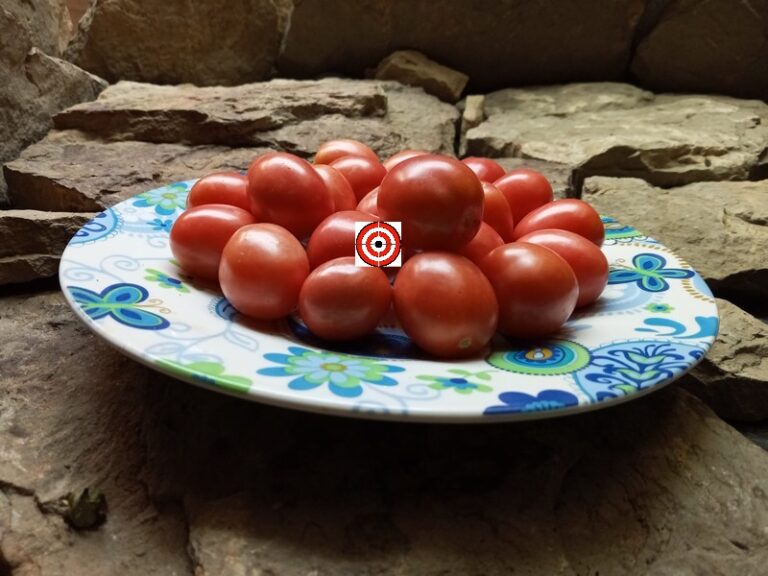 German Lunchbox Tomato-Bounty Hunter Seeds-Heirlooms Seeds