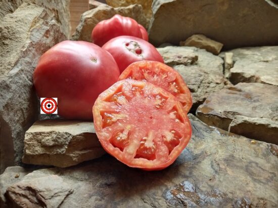 Giant Italian Tree Triple L Crop Tomato - Bounty Hunter Seeds
