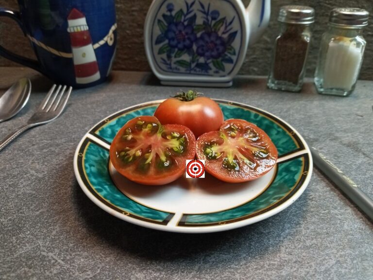 Dwarf Grape Nehi Tomato-Bounty Hunter Seeds-Dean Slater Seed