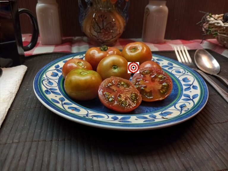 Dwarf Grape Nehi Tomato-Bounty Hunter Seeds-Dean Slater Seed