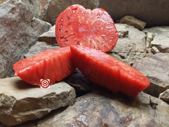 Riccio Di Parma Tomato-Bounty Hunter Seeds-Rare Heirloom Seed