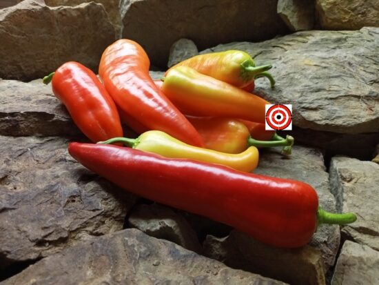 Hot Banana Pepper-Bounty Hunter Seeds-Heirloom Pepper Seeds