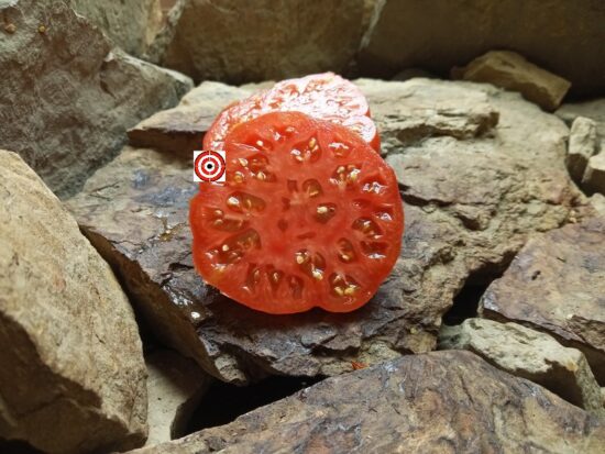 Marriage Genuwine F2 Tomato-Bounty Hunter Seeds-Heirlooms