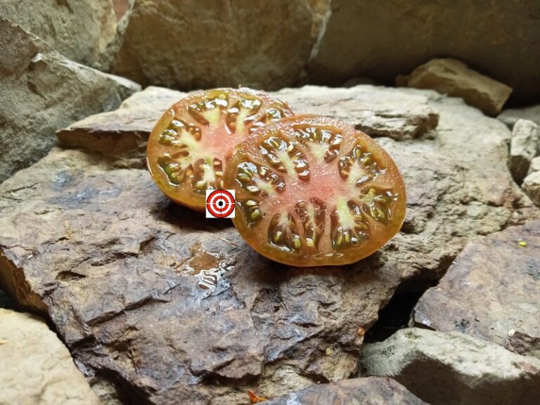 Marizol Maroon Tomato-Bounty Hunter Seeds-Heirloom Tomatoes
