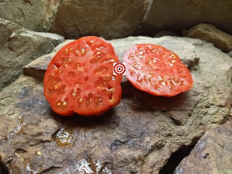 Marriage Genuwine F2 Tomato-Bounty Hunter Seeds-Heirlooms