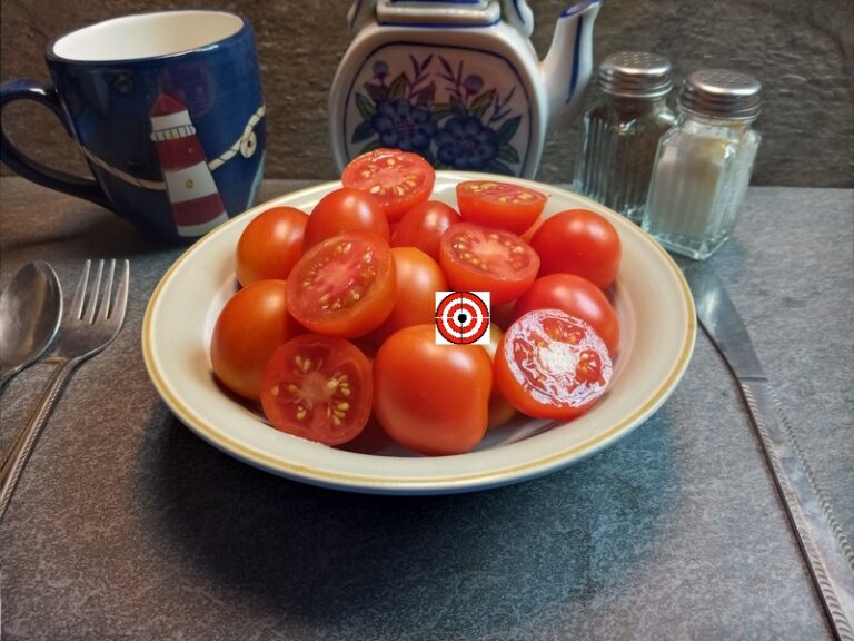 Dwarf Maskotka Tomato-Bounty Hunter Seeds-Heirloom Tomatoes