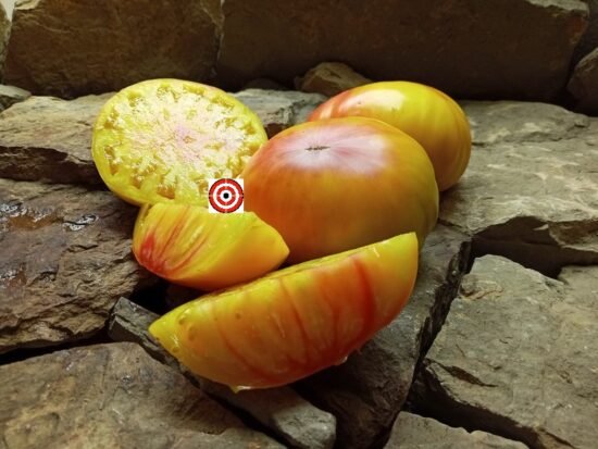 Hazel Mae Tomato-Bounty Hunter Seeds-Heirloom Tomato Seeds