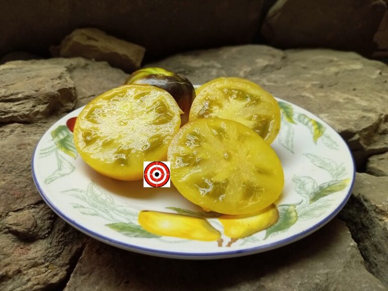 Rainbow Siberian Tomato-Bounty Hunter Seeds-Heirloom Seeds