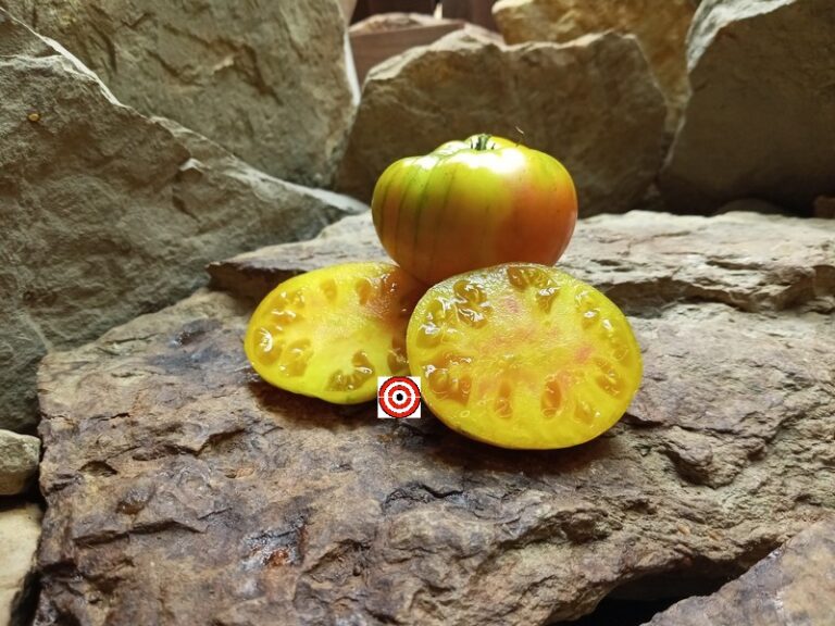 Jewel Tone Tomato-Bounty Hunter Seeds-Rare Heirloom Tomatoes