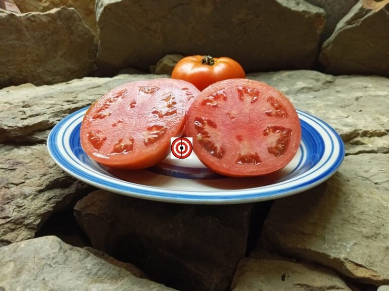 Red Deuce F2 Tomato-Bounty Hunter Seeds-Rare Heirloom Seeds