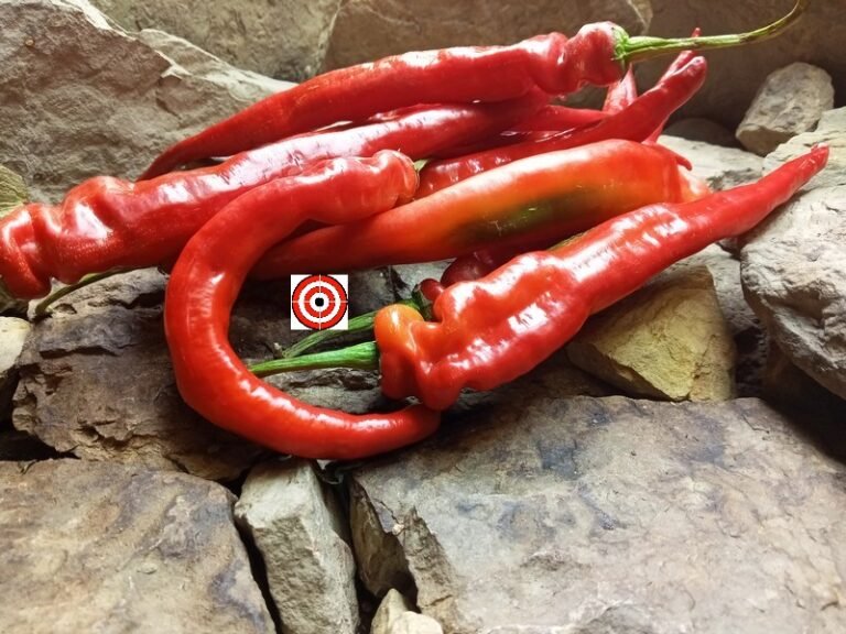 Joe's Long Cayenne Pepper-Bounty Hunter Seeds-Rare Heirlooms