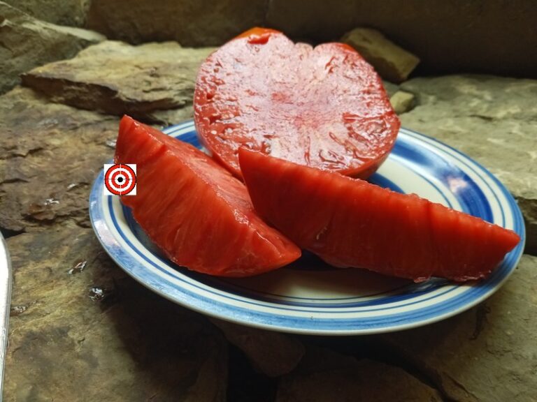 Riccio Di Parma Tomato-Bounty Hunter Seeds-Rare Heirloom Seed