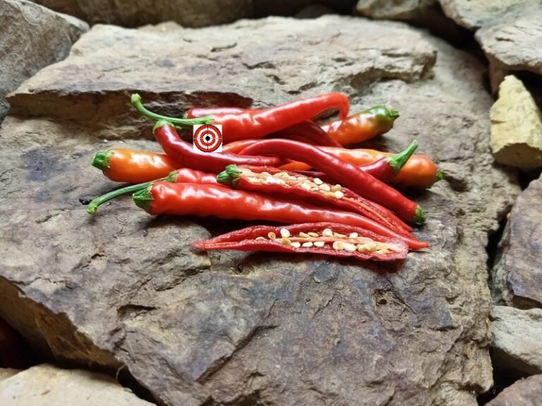 Ring of Fire Pepper-Bounty Hunter Seeds-Rare Heirloom Seeds