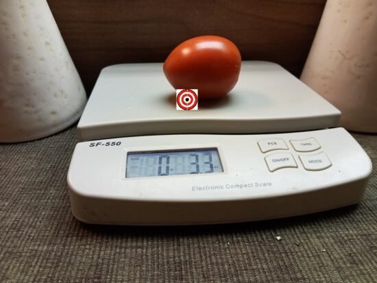 Russian Big Roma Tomato-Bounty Hunter Seeds-Rare Heirlooms