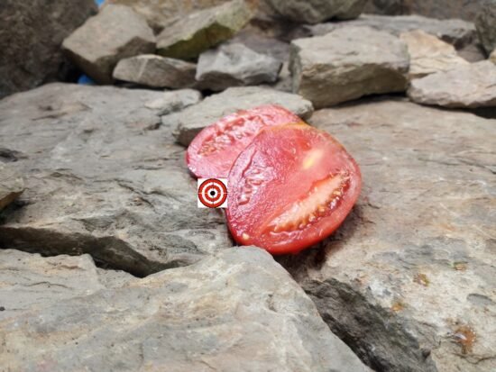 Russian Big Roma Tomato-Bounty Hunter Seeds-Rare Heirlooms