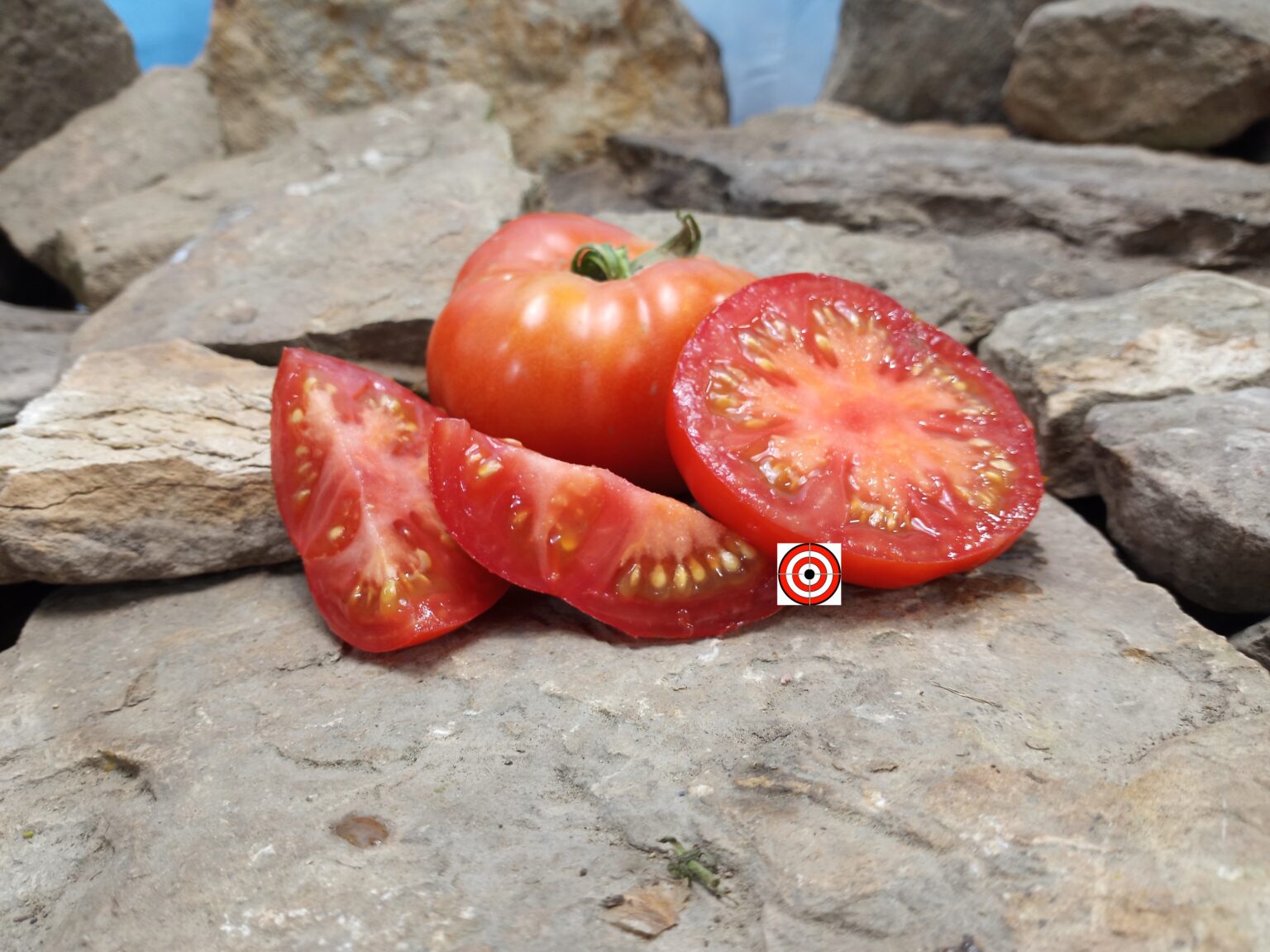 Dwarf Victorian Tomato-Bounty Hunter Seeds-Heirloom Tomatoes