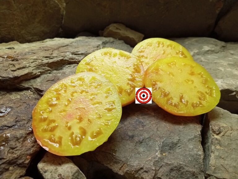 Pampelmousse Du Grand Tomato-Bounty Hunter Seeds-Heirlooms