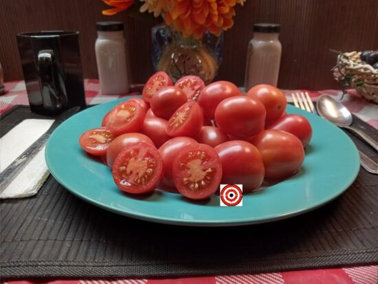 Top 5 Best Market Cherry Tomatoes of 2022 Bounty Hunter Seeds