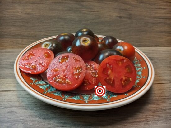 5 Best Bicolored Dwarf Tomatoes by Bounty Hunter Seeds