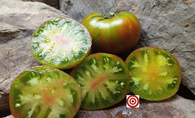 5 Best Bicolored Dwarf Tomatoes by Bounty Hunter Seeds
