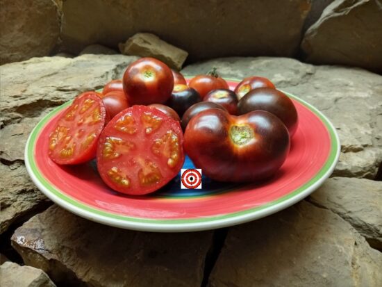 5 Best Blue Tomatoes of the 2022 Season by Bounty Hunter Seeds