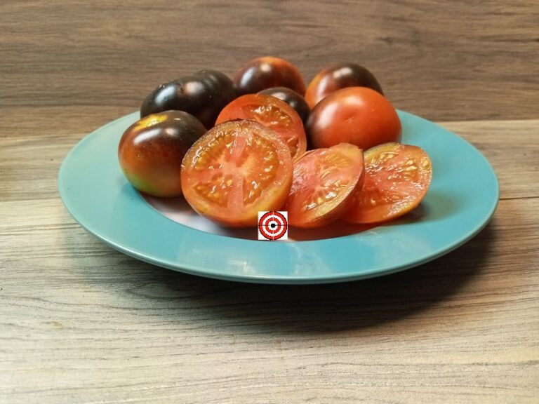 5 Best Blue Tomatoes of the 2022 Season by Bounty Hunter Seeds