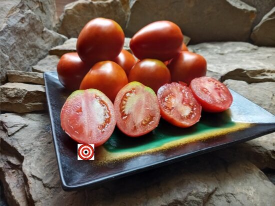 5 Best Dwarf Cherry Tomatoes by Bounty Hunter Seeds-Heirlooms