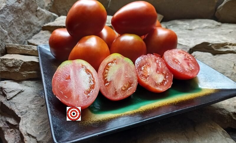 5 Best Canning Dwarf Tomatoes by Bounty Hunter Seeds