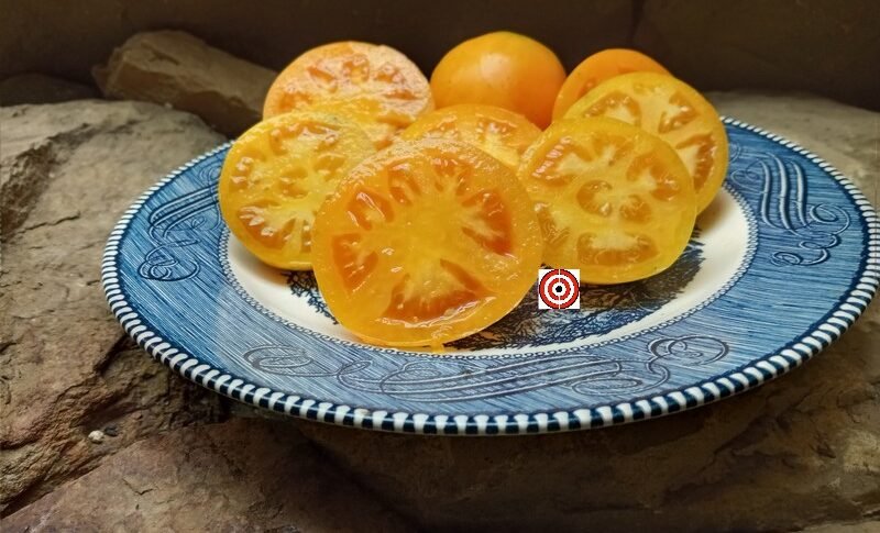 5 Best Orange Dwarf Tomatoes by Bounty Hunter Seeds-Heirlooms