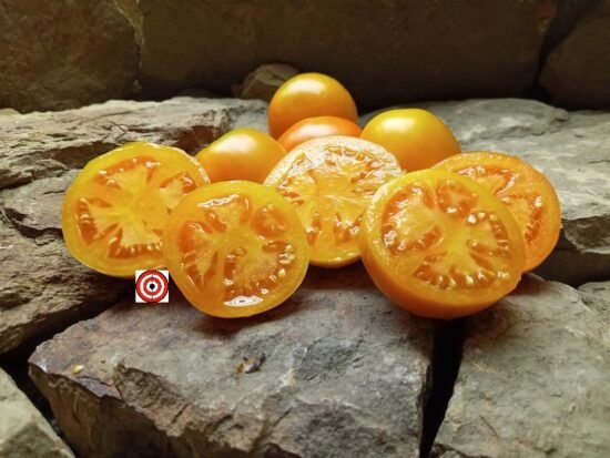 5 Best Orange Tomatoes from 2022 Season - Bounty Hunter Seeds