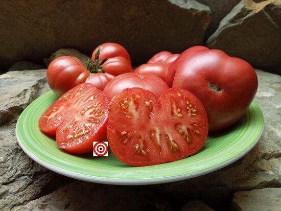 5 Best Red Beefsteak Tomatoes for Market - Bounty Hunter Seeds