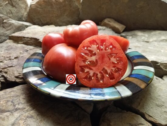5 Best Red-Pink Dwarf Tomatoes by Bounty Hunter Seeds
