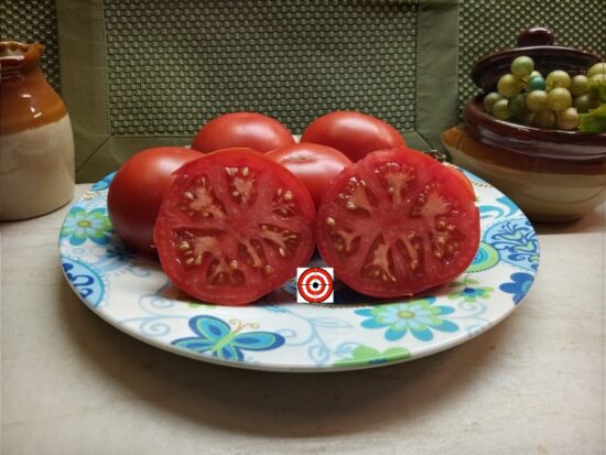 5 Best Red-Pink Dwarf Tomatoes by Bounty Hunter Seeds
