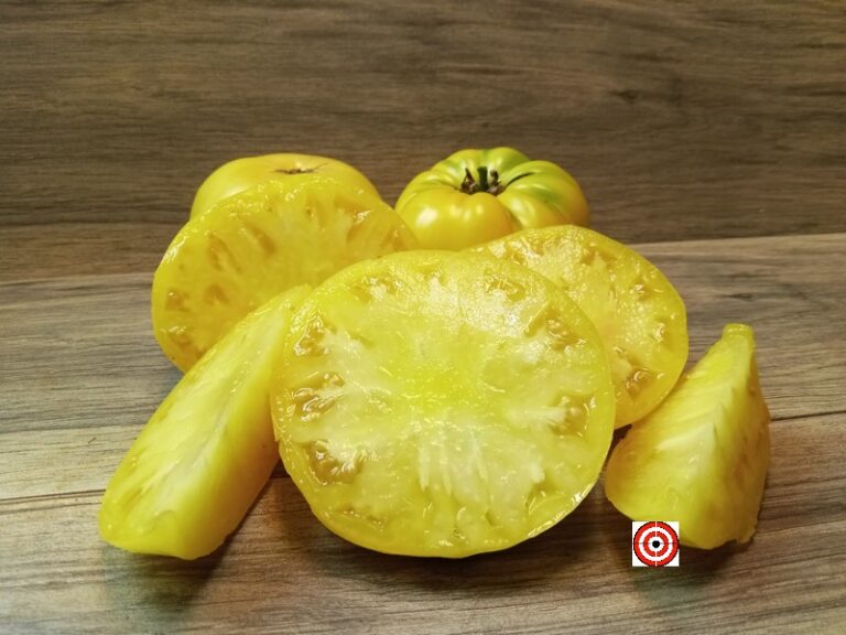 5 Best Yellow Dwarf Tomatoes by Bounty Hunter Seeds-Heirlooms