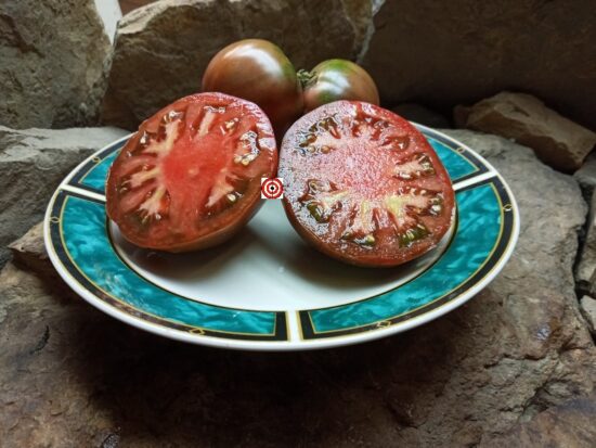 Heirloom Tomato Pictures 7 by Bounty Hunter Seeds