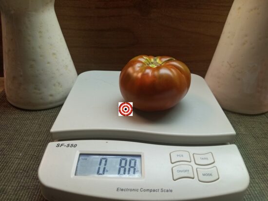Heirloom Tomato Pictures 7 by Bounty Hunter Seeds